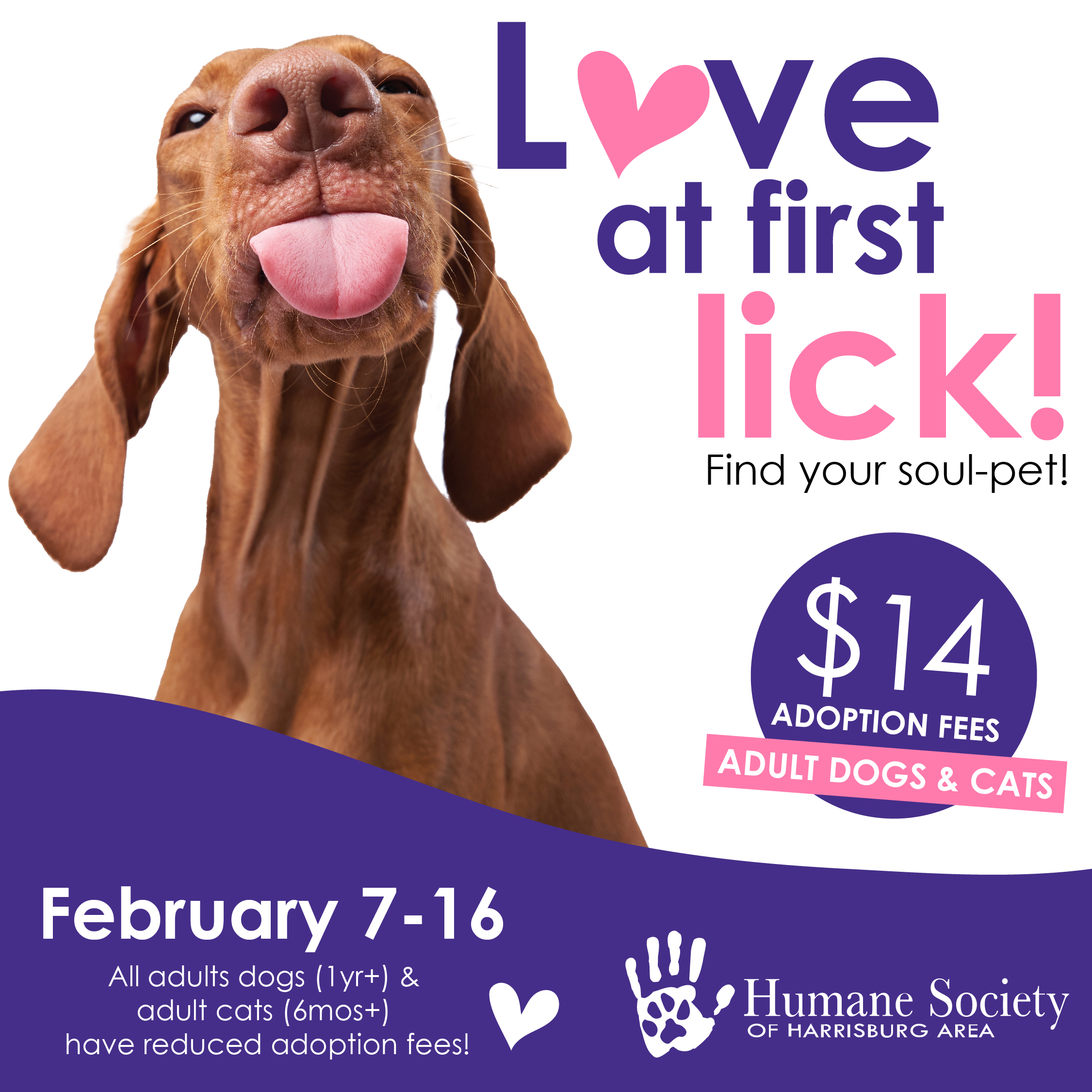 Love At First Lick Adoption Special - Humane Society of Harrisburg Area